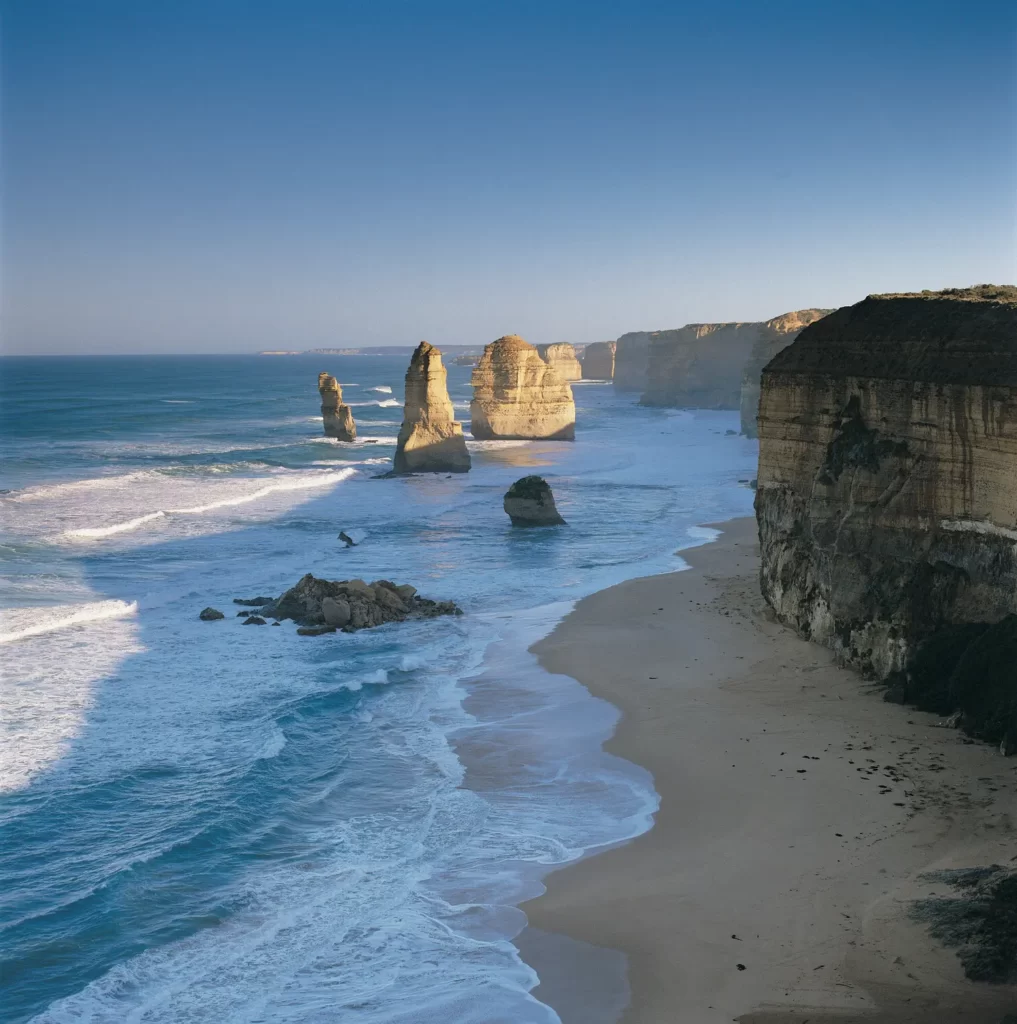 Great Ocean Tours Melbourne