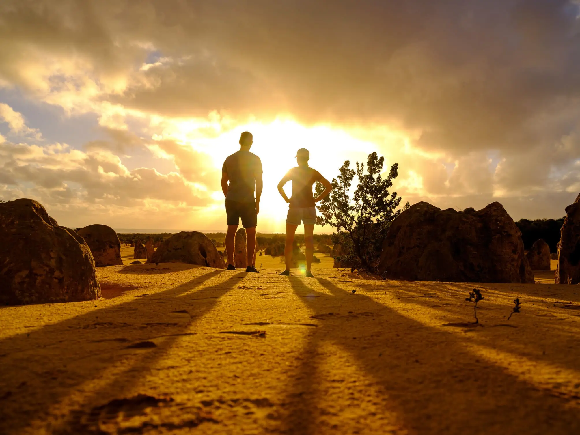 Pinnacle Tours
